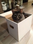How to hide your comic box • Comic Book Daily