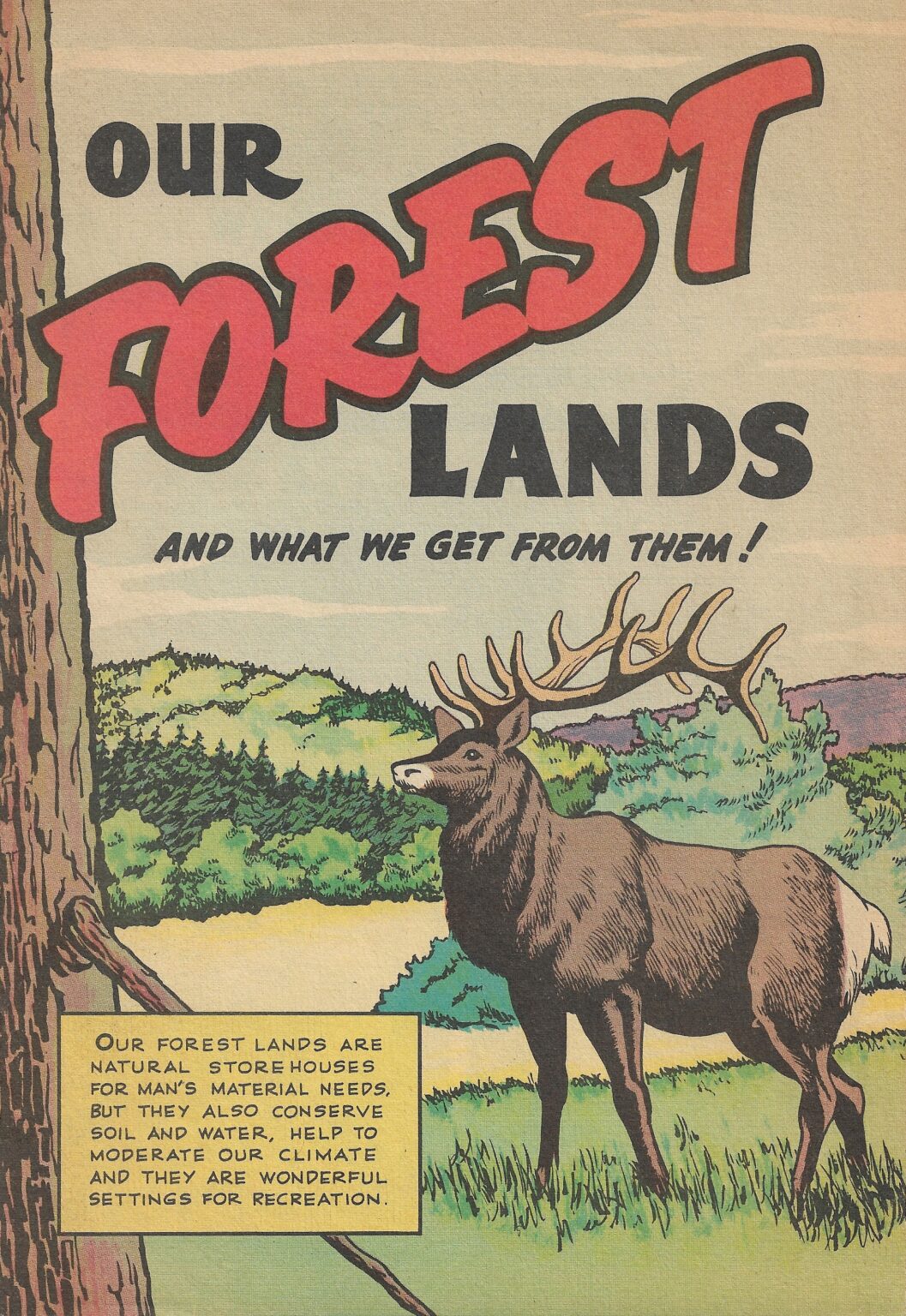 Environmental Giveaways from the 1960s and 1970s • Comic Book Daily